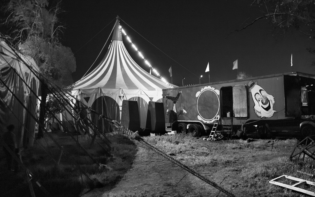 El circo como refugio cultural en América Latina